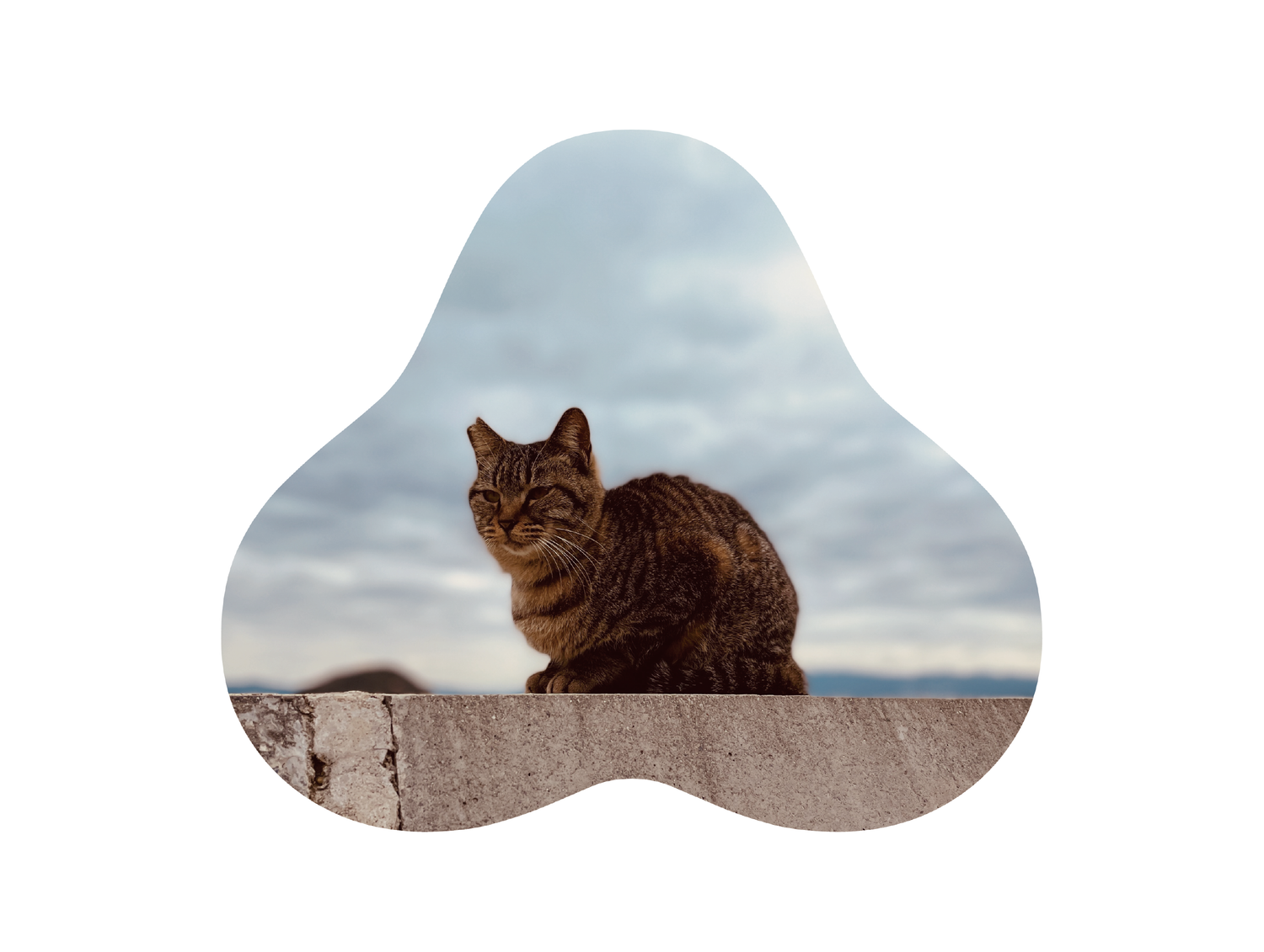 Think CAT – THINKING CITY